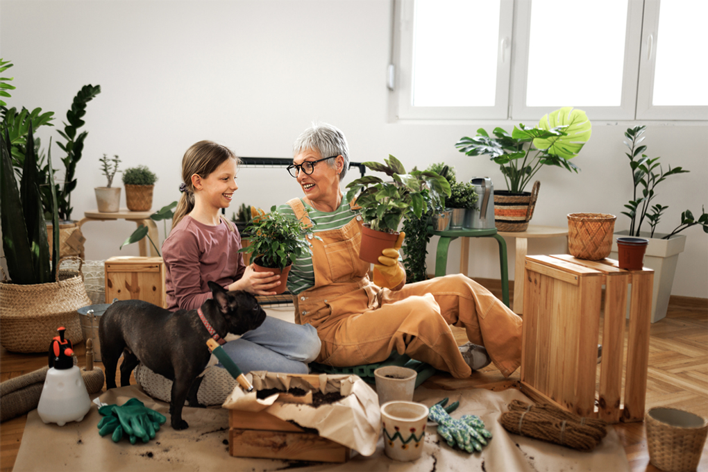 The Key to Tax-Free Roth IRA Withdrawals | IRAR Trust Company