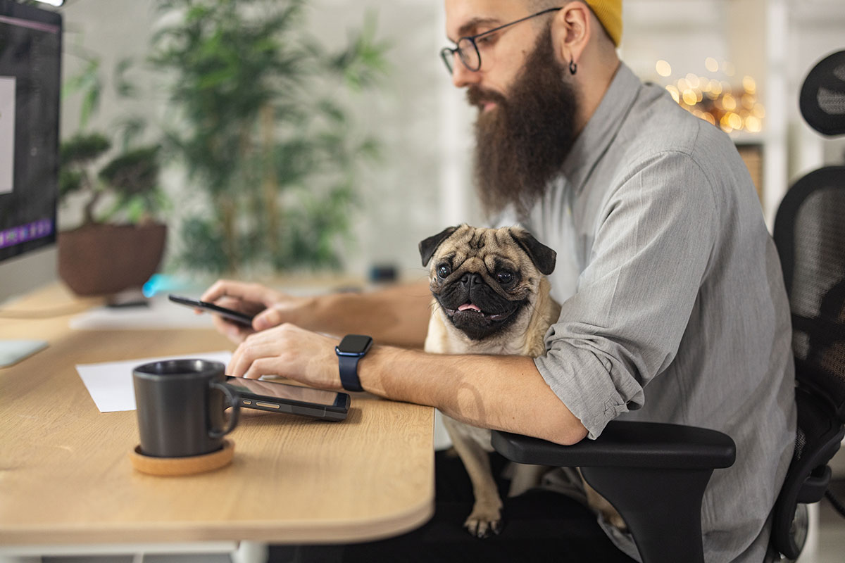 Retirement Planning for the Self-Employed: SDIRAs & Solo 401k